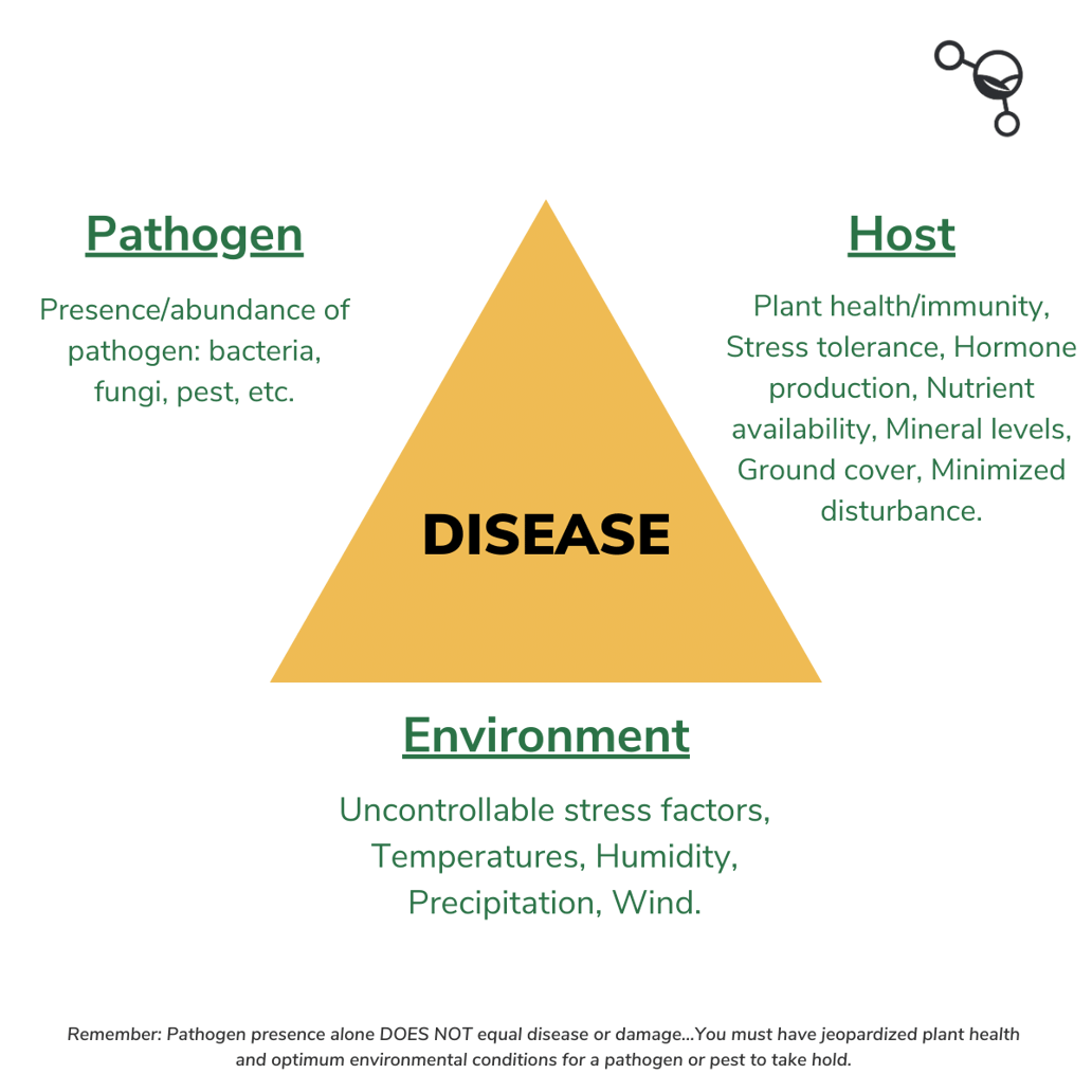 BeCrop Test Results: Diseases