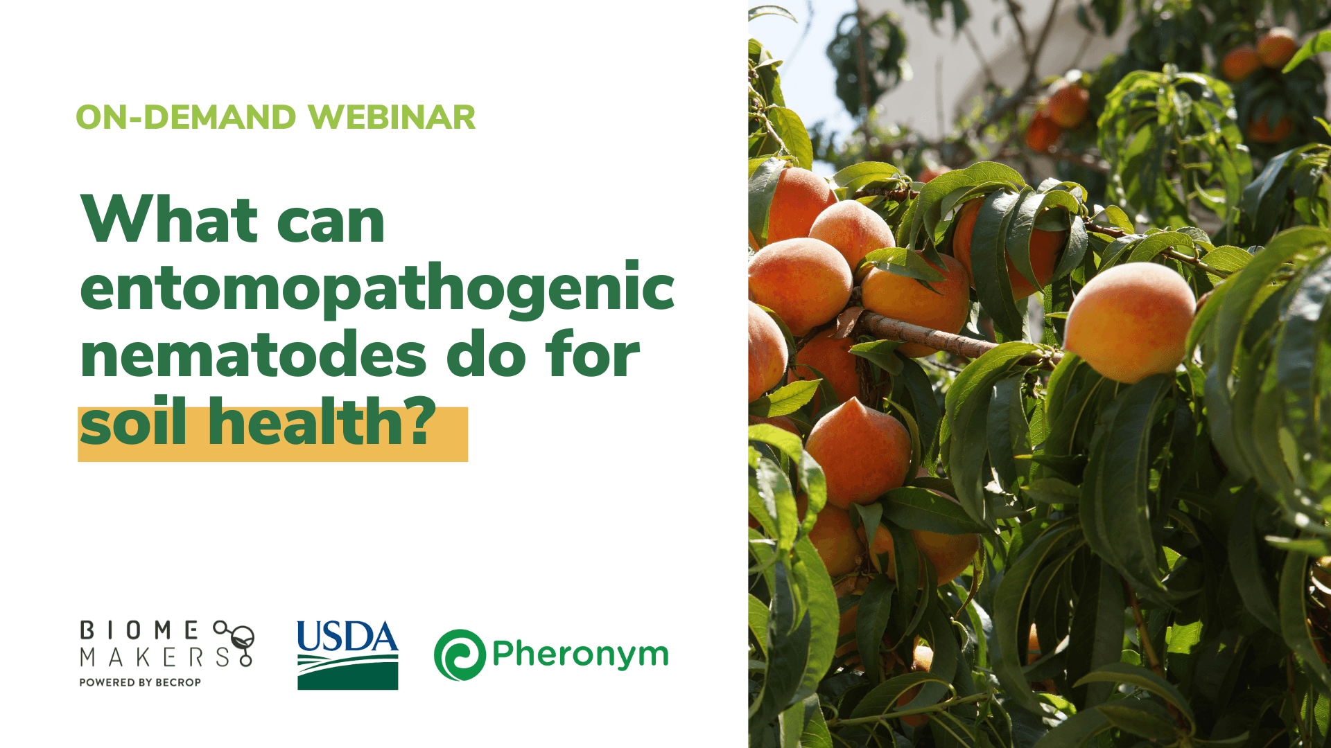 Thank You for Downloading! On Demand Webinar: USDA & Pheronym